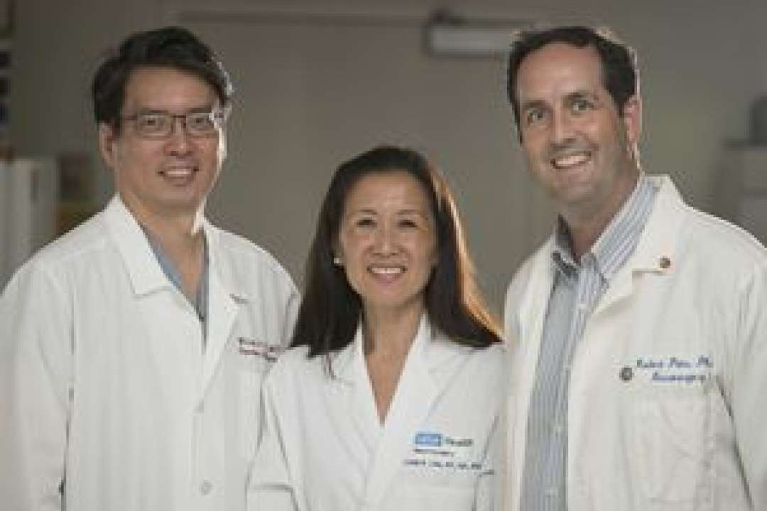Steven Bensinger, VMD, PhD - Member Directory | UCLA Health Jonsson ...