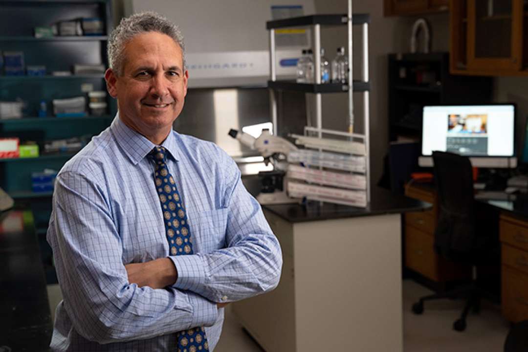 UCLA scientists develop high-throughput mitochondria transfer device ...