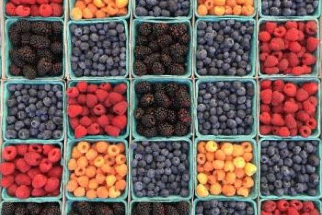 Basic Nutrition - Diabetes | UCLA Health