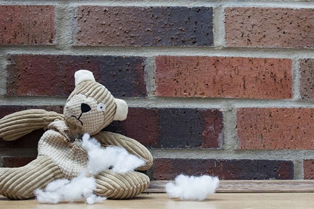 Five Tips to Avoid Toy-Related Eye Injuries | UCLA Health