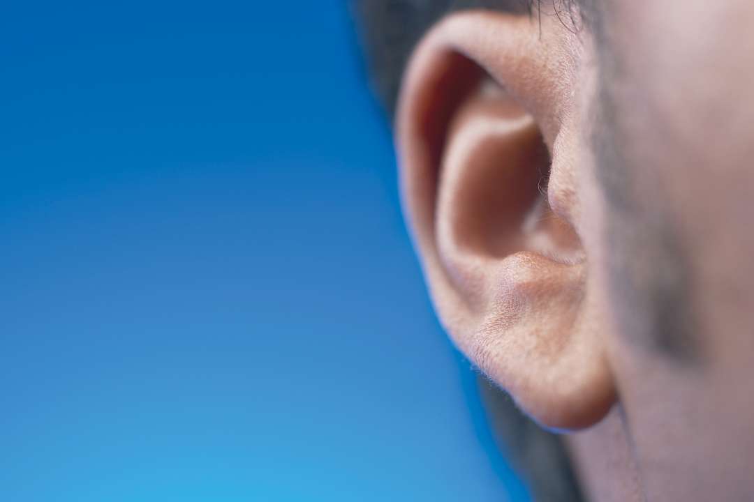 Swimmer's ear triggered by moisture in the auditory canal | UCLA Health