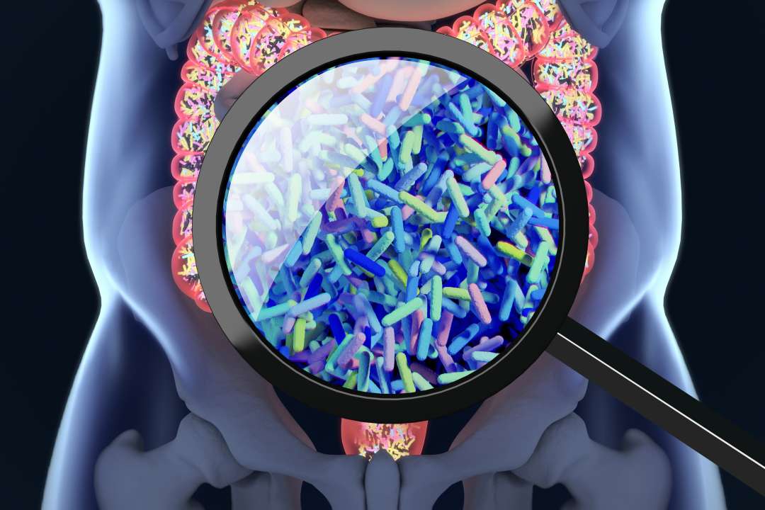 Resiliency shaped by activity in the gut microbiome and brain ...