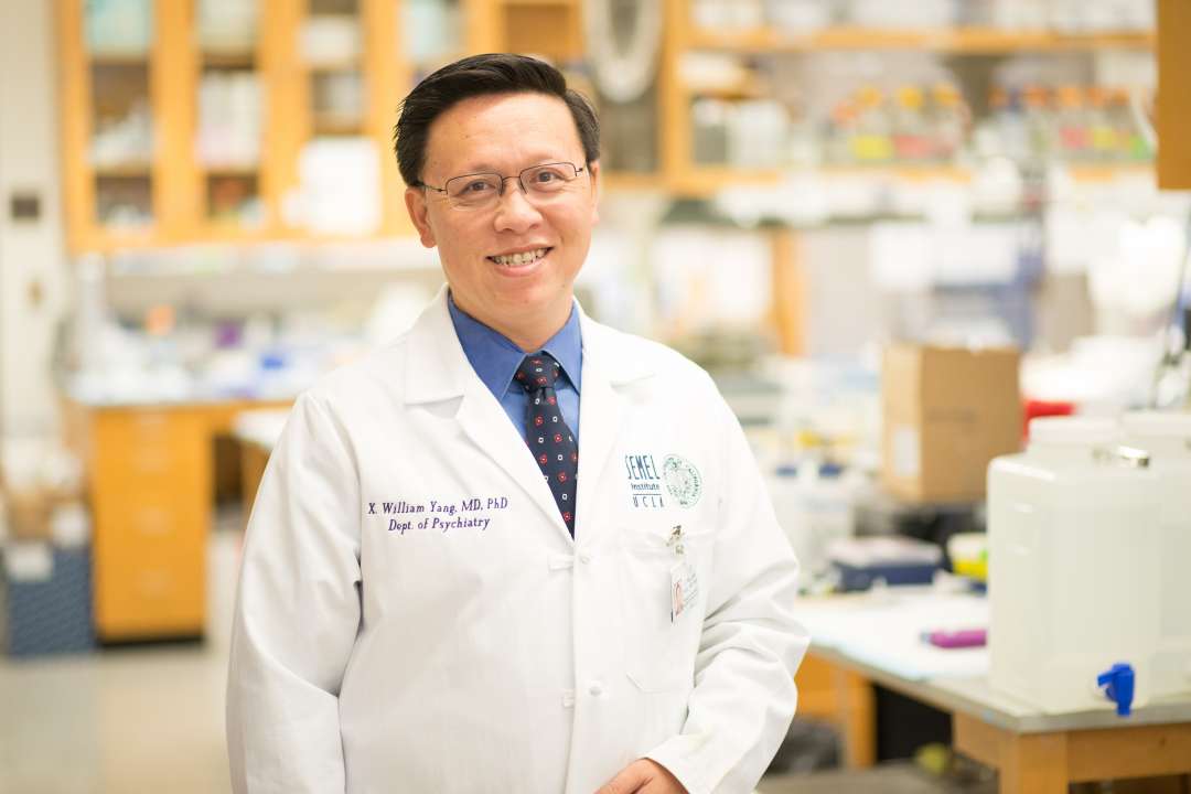 Mystery solved: New study reveals how DNA repair genes play a major ...