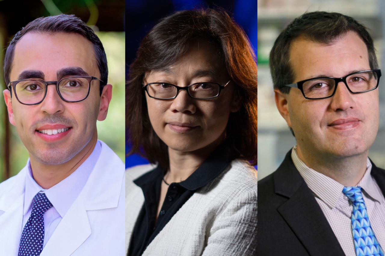 Three researchers join UCLA to propel cancer research and innovation ...