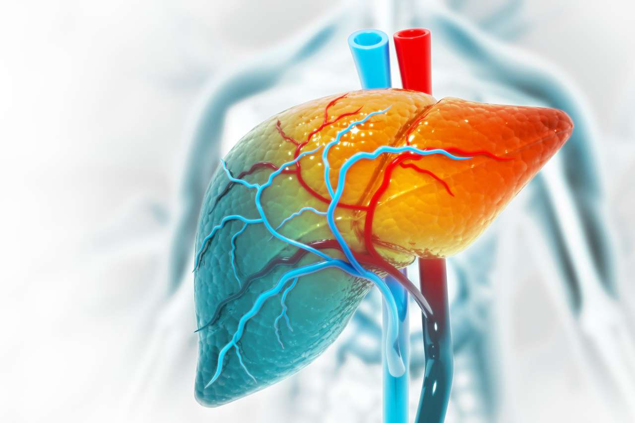 UCLA Liver Transplant Program uses 'revolutionary technology' to expand ...