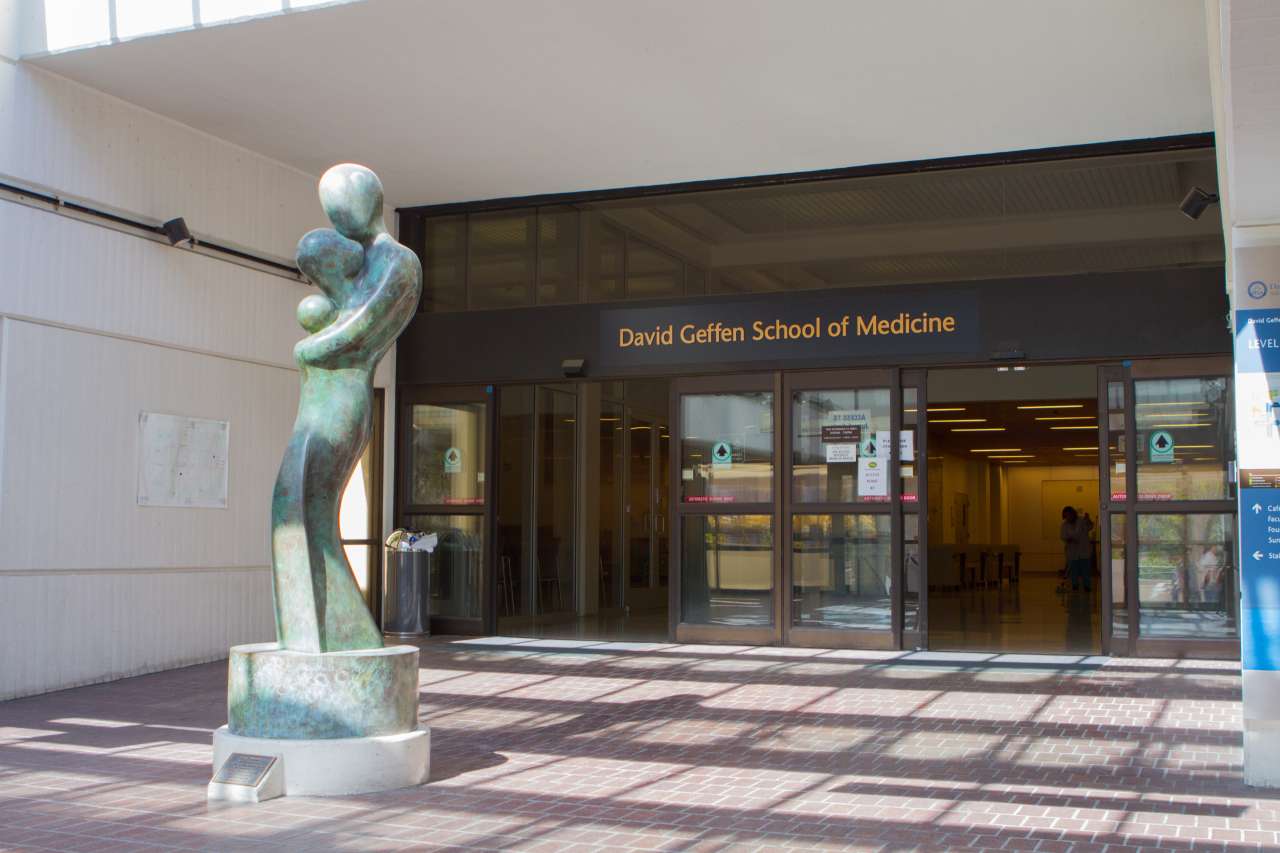 Faculty Development and Career Advancement - Anesthesiology | UCLA Health