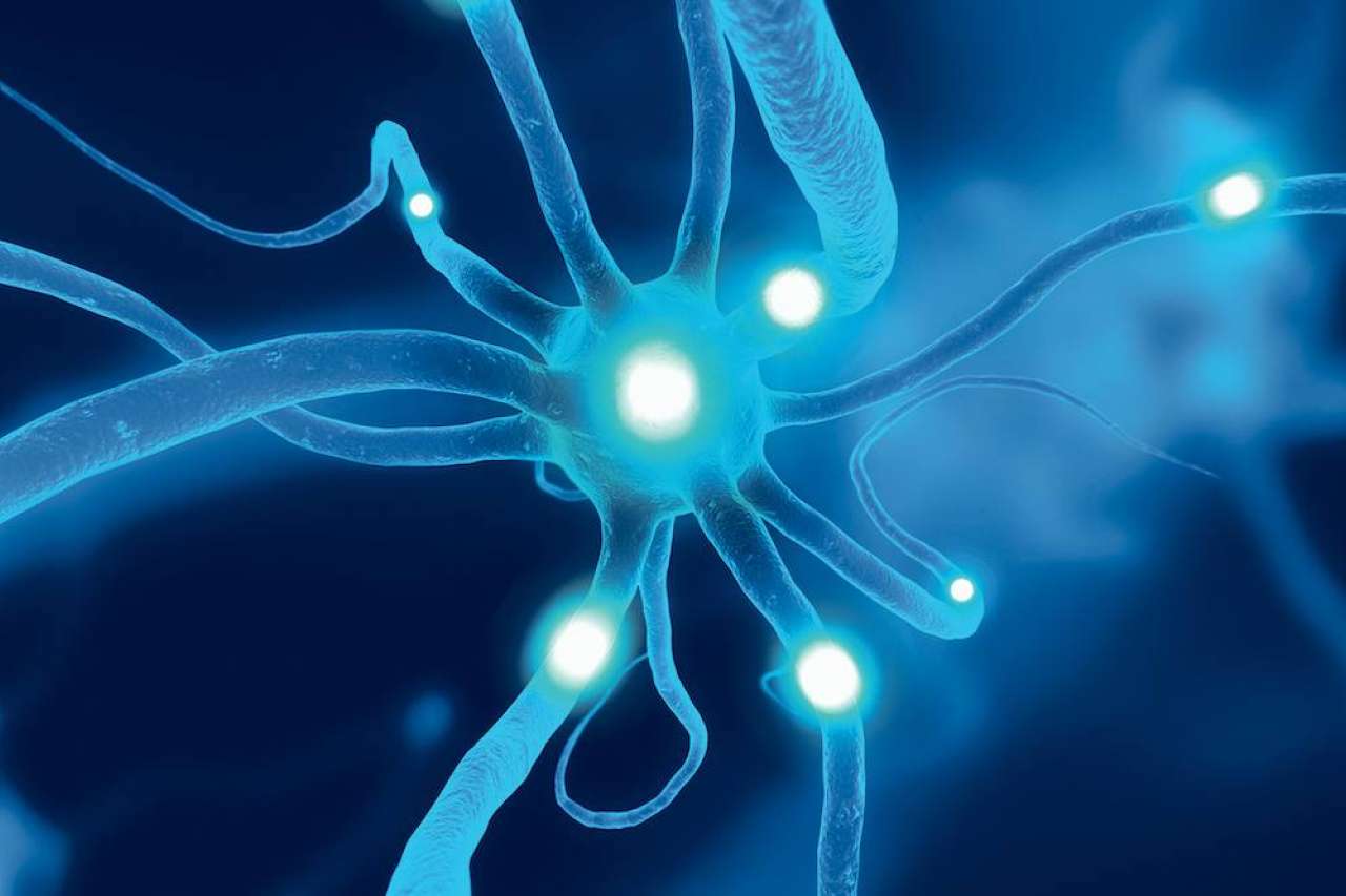 How vision influences gene expression in mouse brain cells | UCLA Health