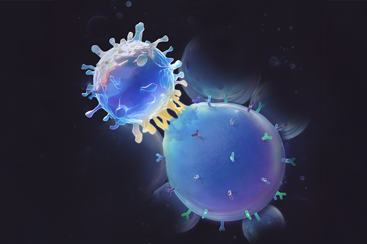 Researchers Develop Antigen-Mimicking Synthetic Cells to Improve T-Cell ...