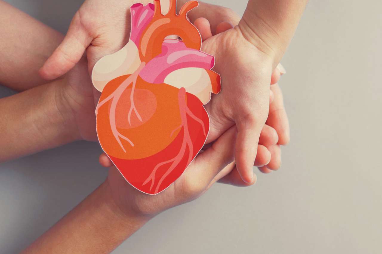 UCLA pediatric heart-transplant program performs historic 500th ...