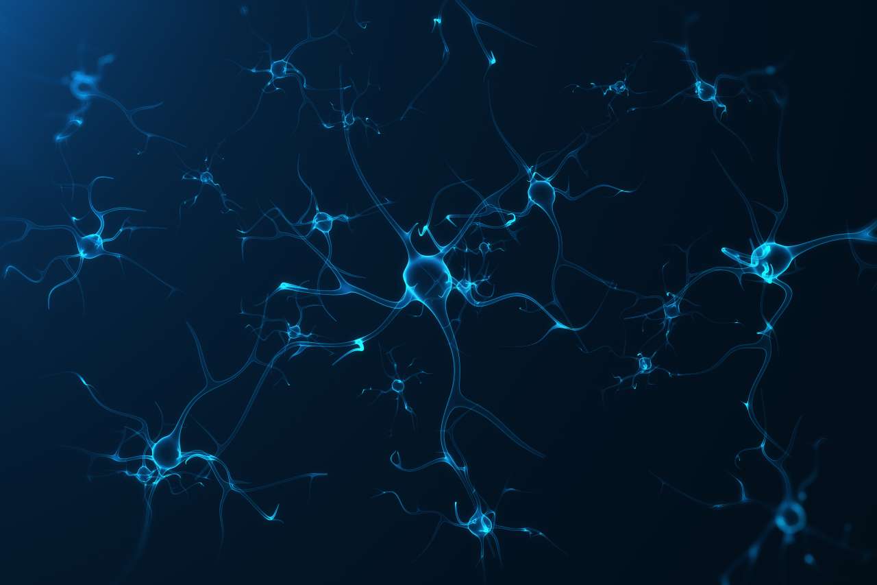 Scientists uncover why some brain cells resist Alzheimer's disease ...