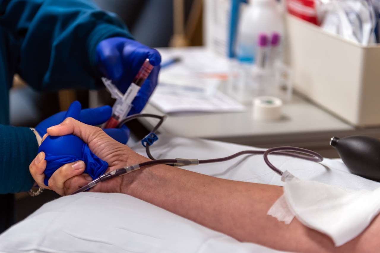 What happens to your blood after you donate? | UCLA Health