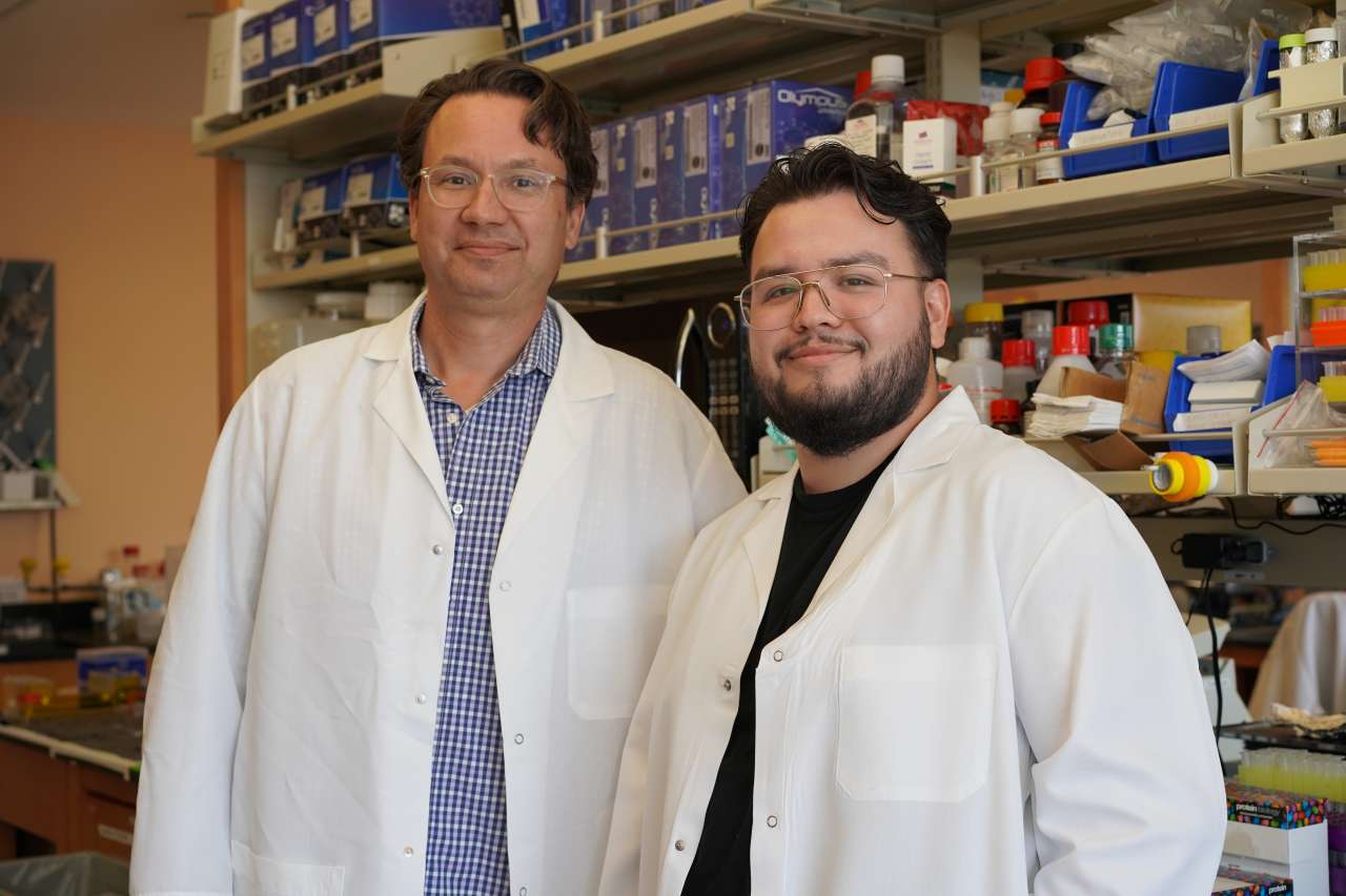 UCLA scientists uncover limits of metabolic flexibility in a skin ...