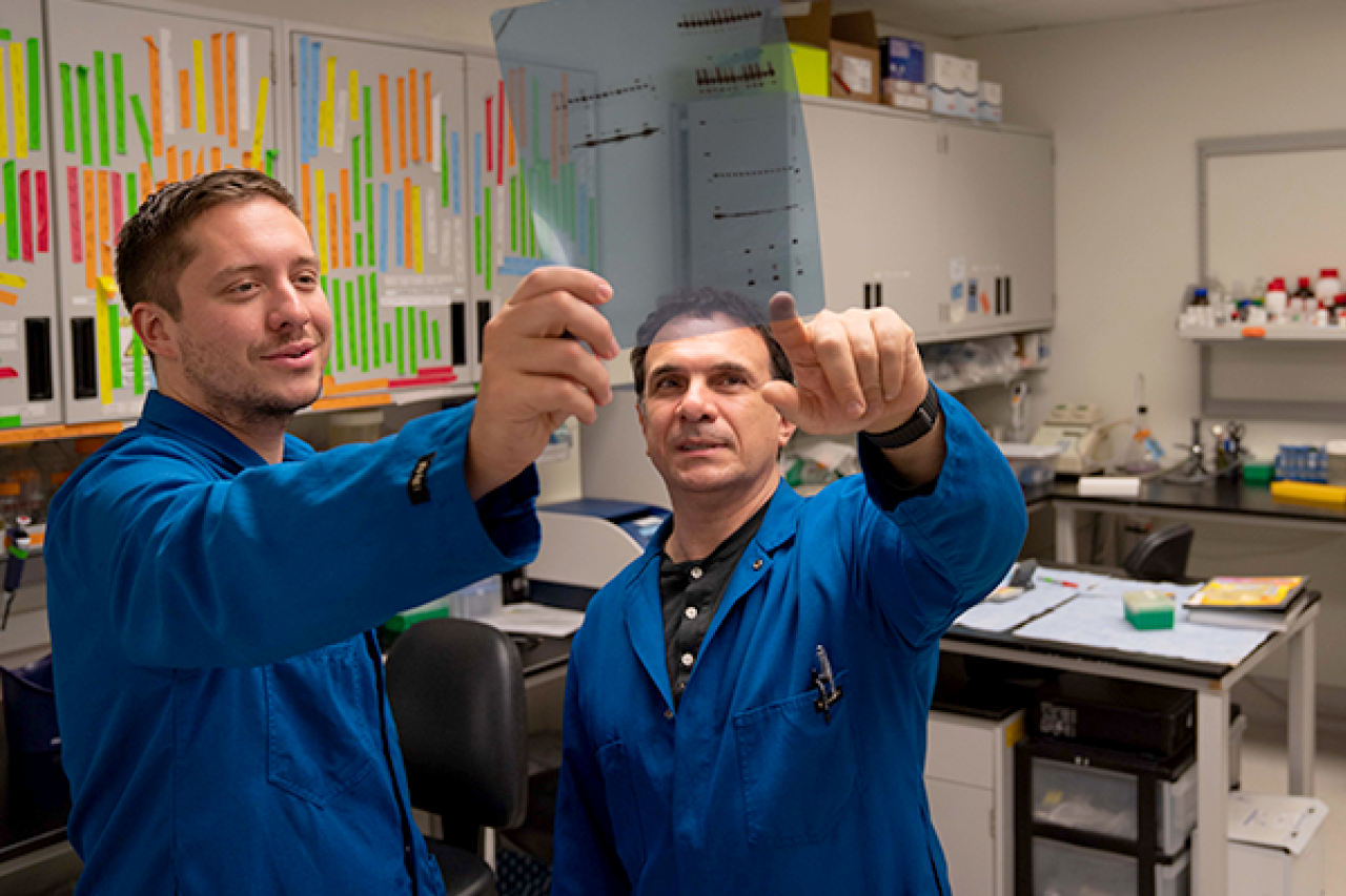 New screening method identifies inhibitors of cancer cell metabolism ...