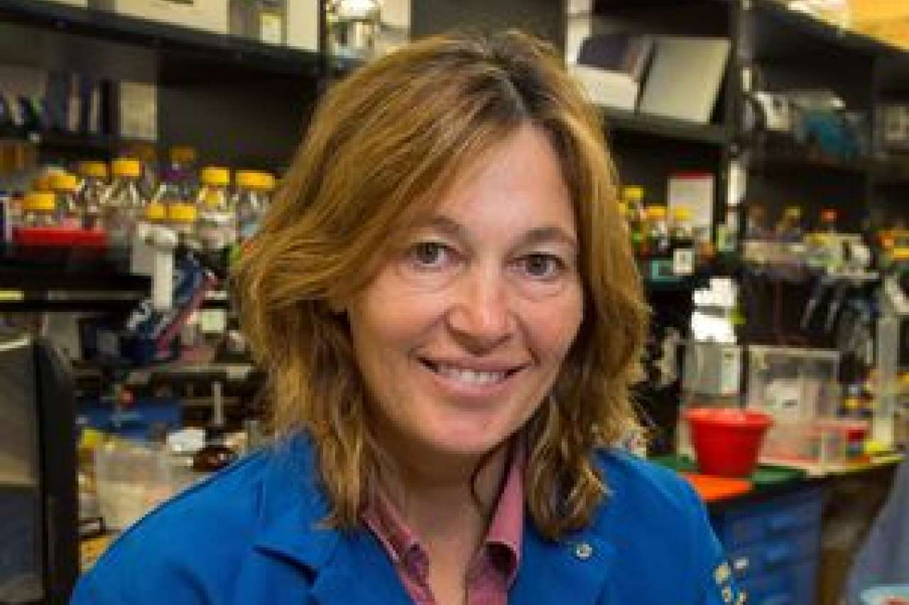 Biochemists solve ‘address problem’ in cells that leads to lethal ...