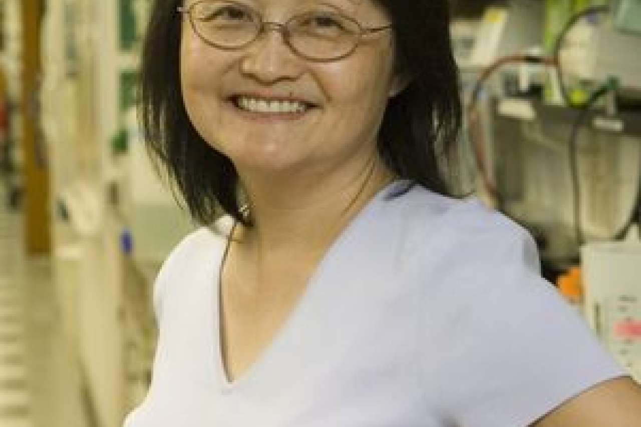 Pharmacology professor named to endowed chair in cancer research | UCLA ...