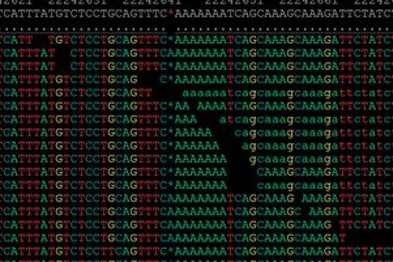 UCLA awarded $7 million to unravel mystery genetic diseases | UCLA Health