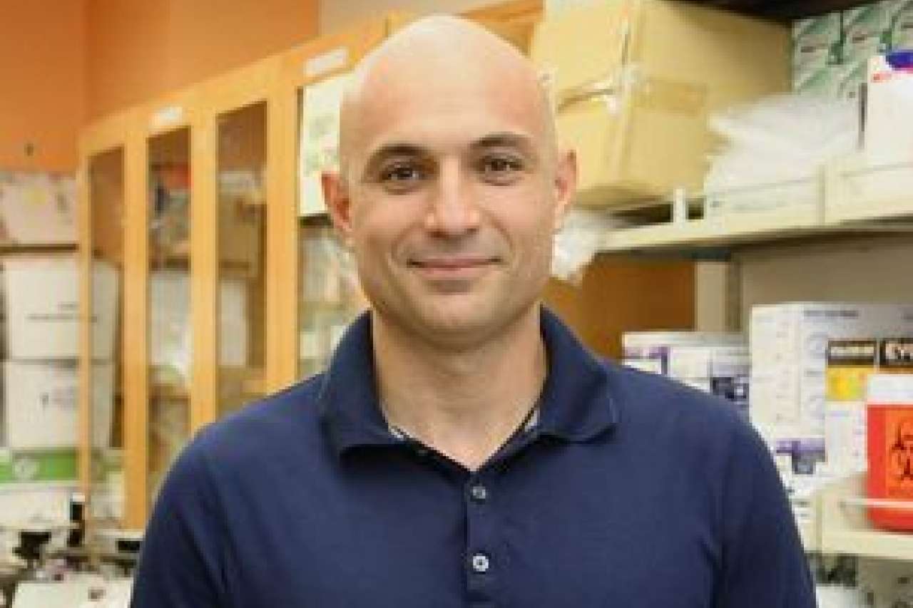 UCLA research offers more evidence for possible link between cocaine ...