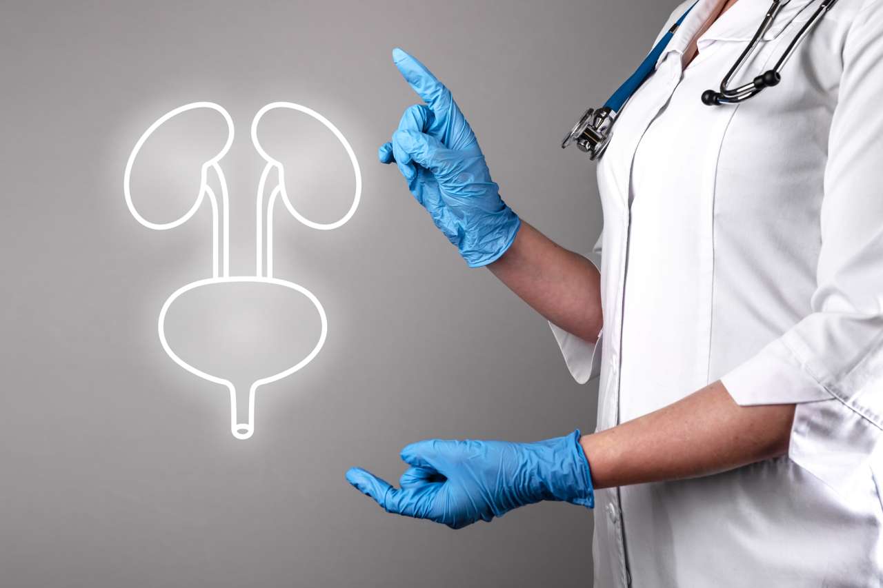 Urine culture necessary to identify bacteria causing UTI | UCLA Health