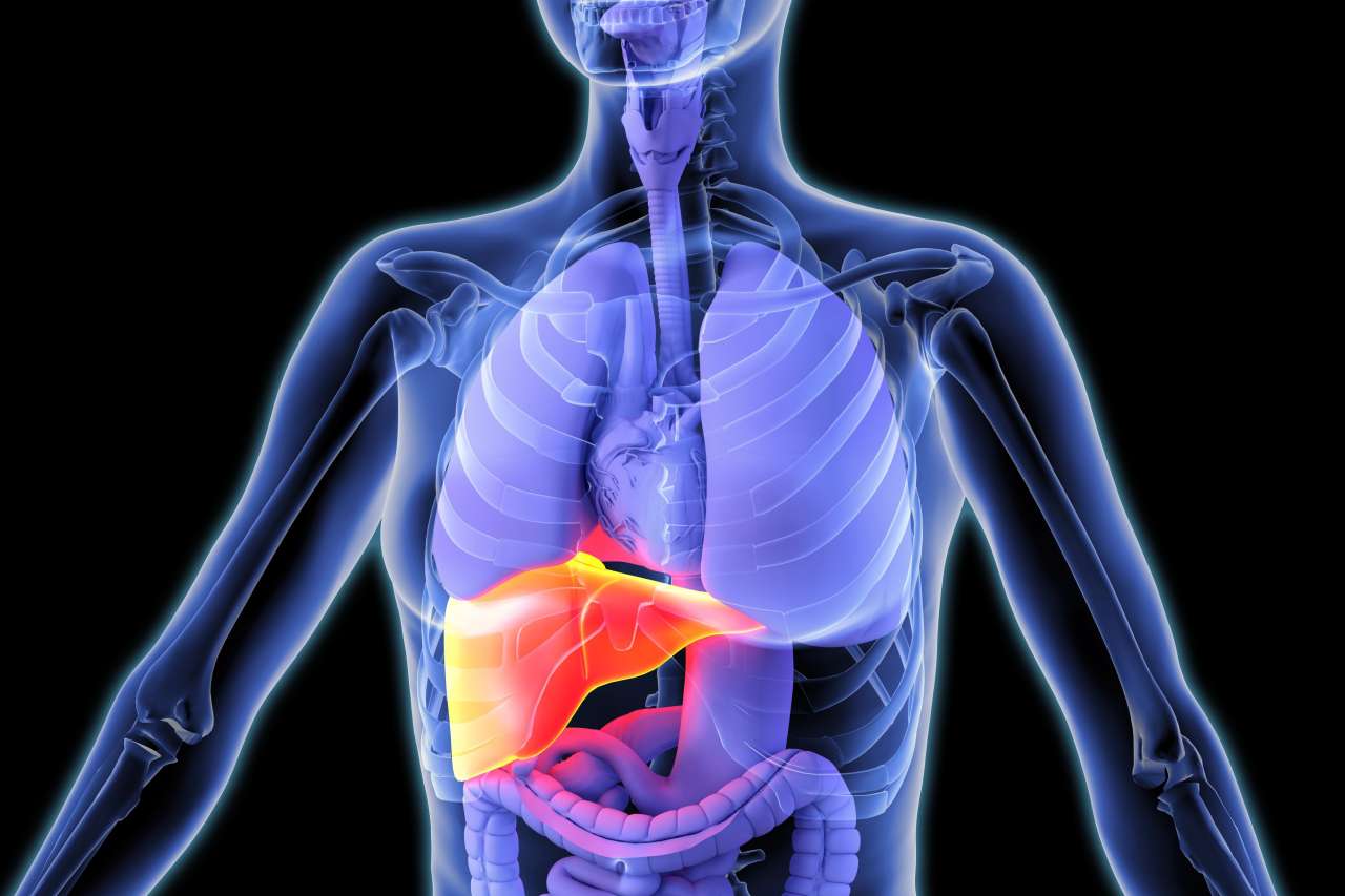 Study finds targeting inflammation may not help reduce liver fibrosis ...