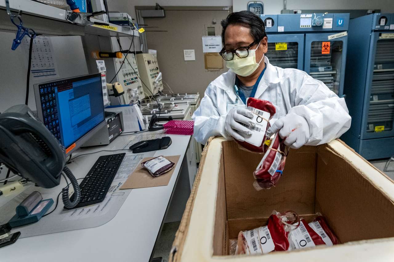 What happens to your blood after you donate? | UCLA Health
