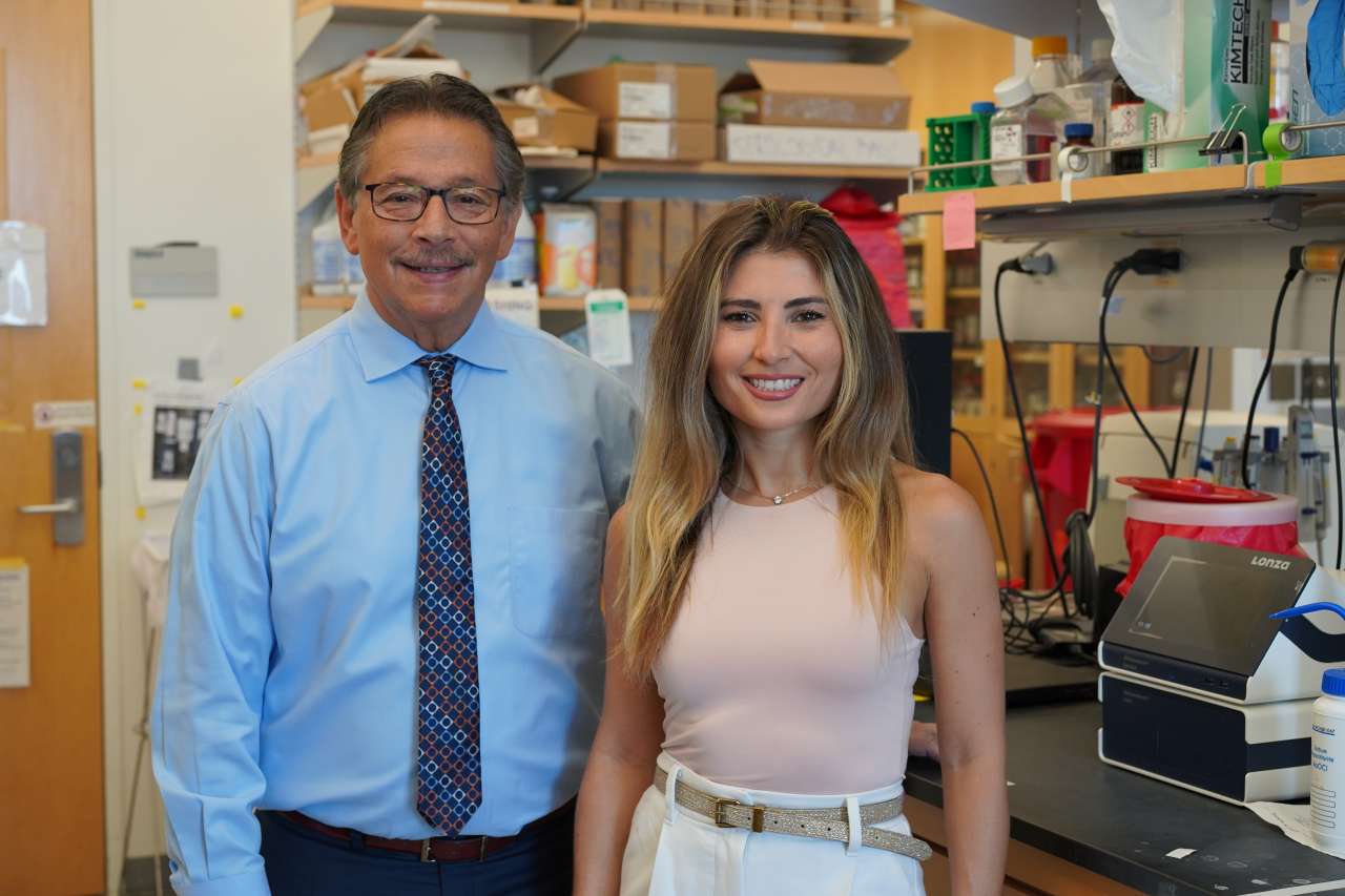 UCLA scientists advance gene therapy for deadly blood disorder alpha thalassemia major | UCLA Health