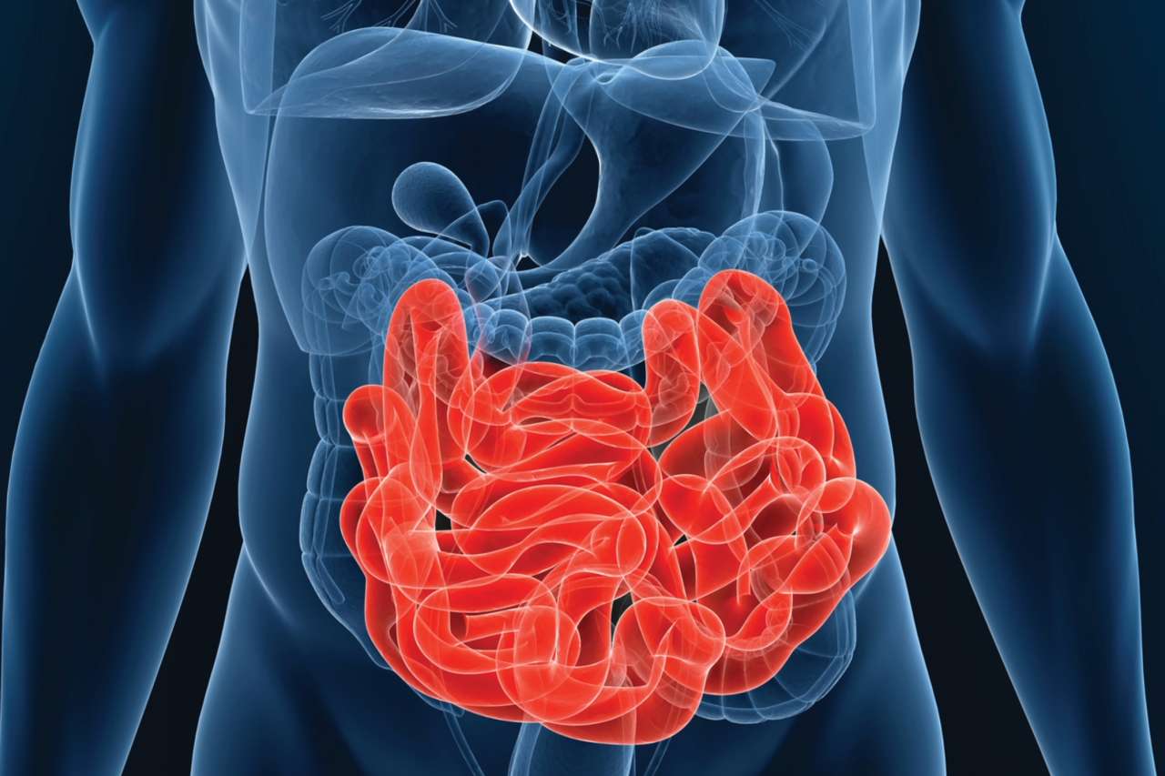 Fecal transplant one option for treating C. diff infection | UCLA Health