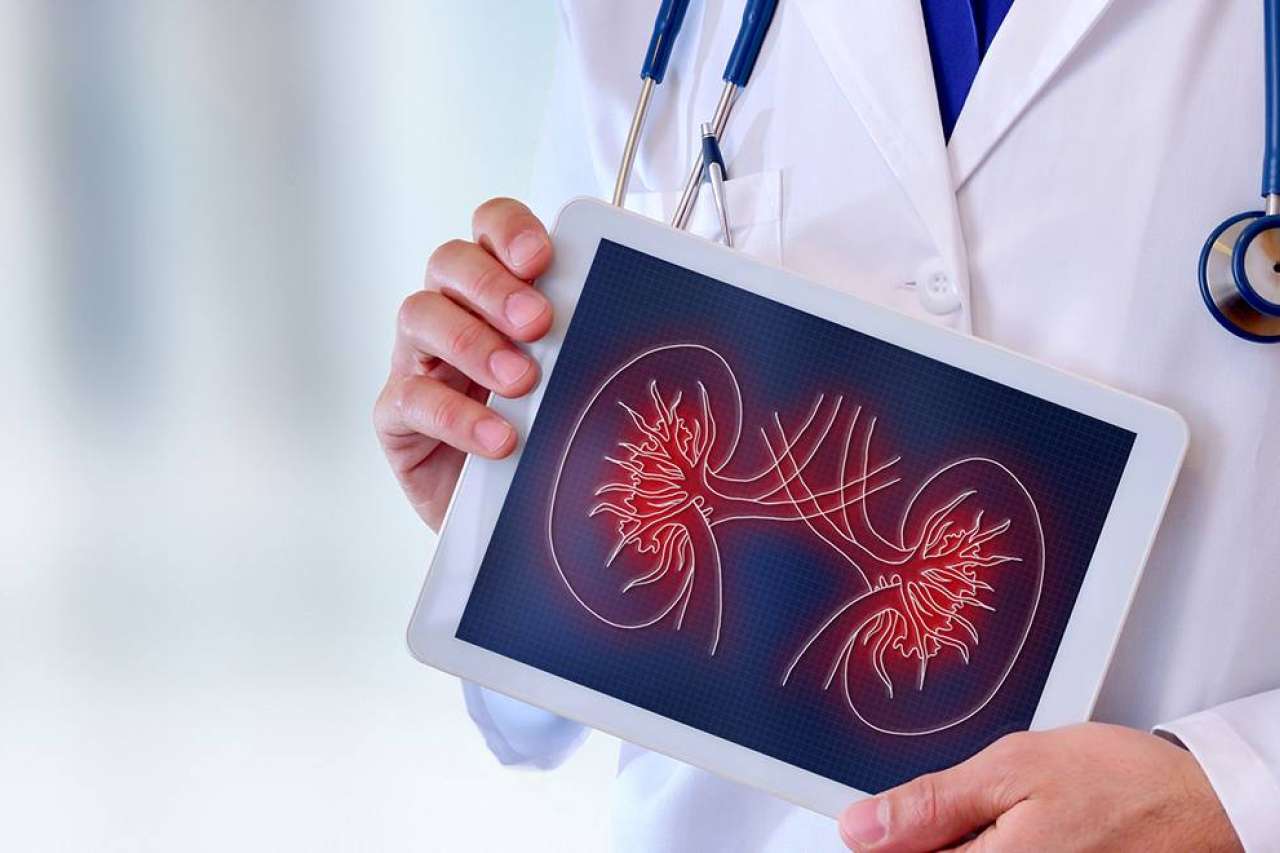Game-changing artificial kidney, now in development, offers hope for ...