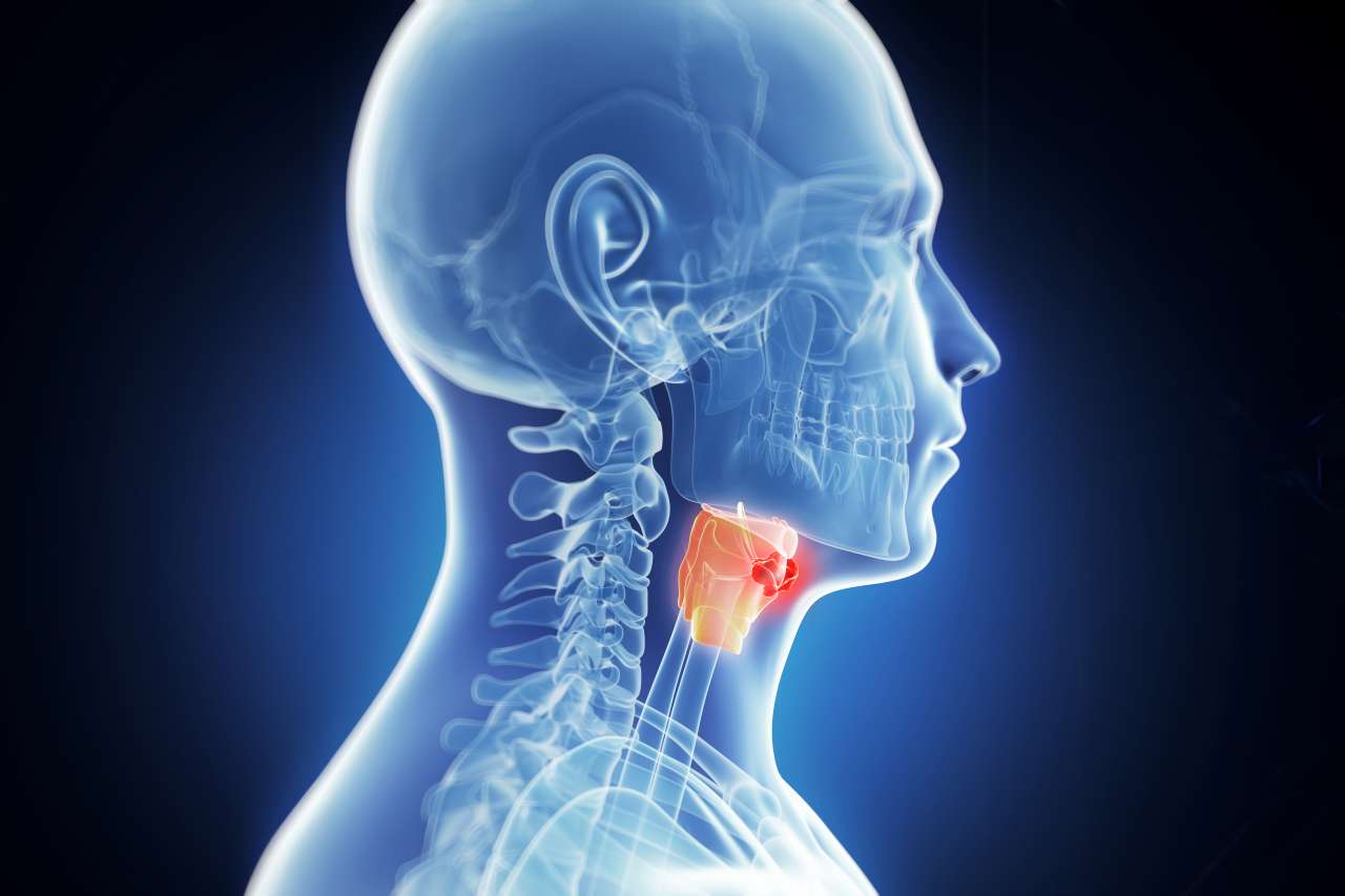 Researchers uncover a potential genetic marker associated with better ...