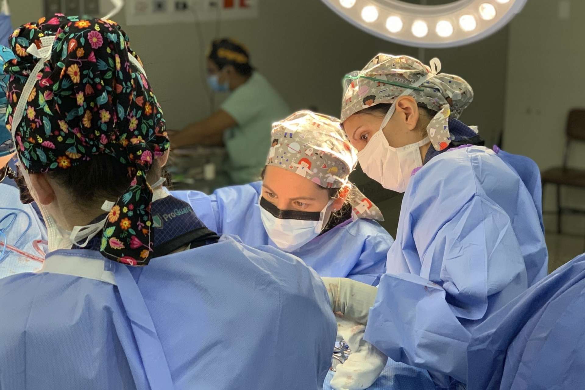 Department of UCLA Orthopaedic Surgery | UCLA Health