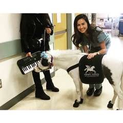 Cardiothoracic Anesthesiology Fellowship - Anesthesiology | UCLA Health