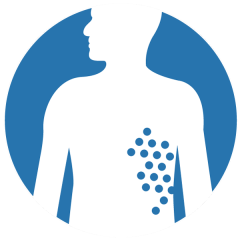 Wellness & Annual Health Screenings | UCLA Health