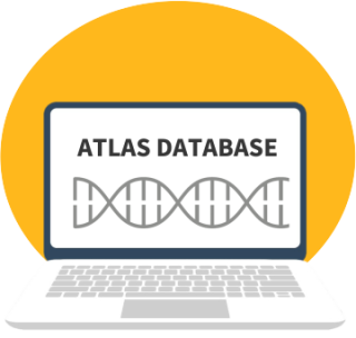 UCLA Genetic Screening Program - Precision Health | UCLA Health