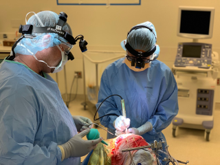 Program Overview - Neurosurgery | UCLA Health