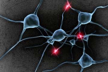 Time Cells in the Brain - Neurology | UCLA Health