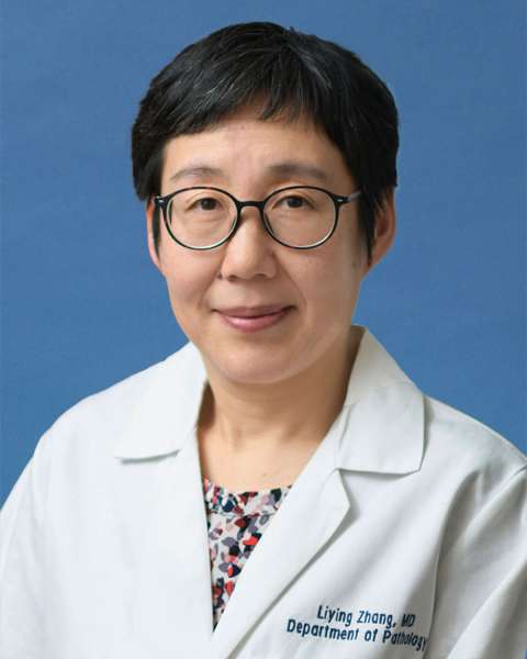 Liying Zhang, MD, PhD - Pathology | UCLA Health