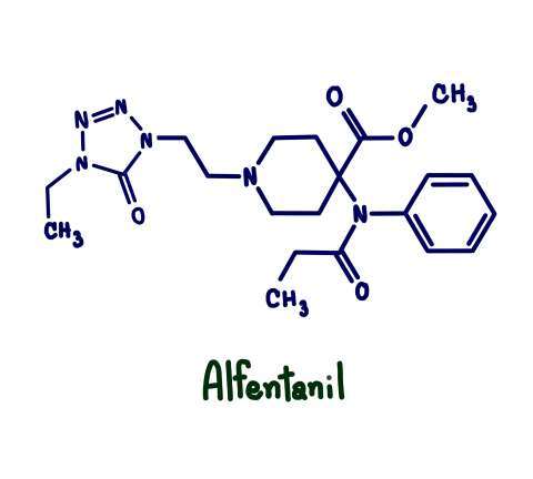 Alfentanil (1976-2023) - Anesthesiology | UCLA Health