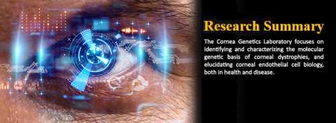 Cornea Genetics Laboratory - Ophthalmology | UCLA Health