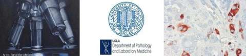 Giving to Pathology - Pathology | UCLA Health