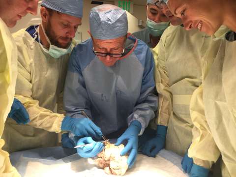 Program Overview - Neurosurgery | UCLA Health