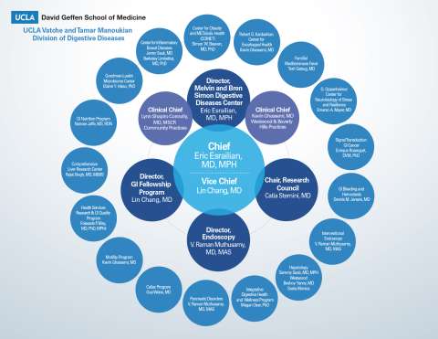 Organizational Chart - Digestive Diseases | UCLA Health