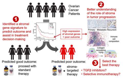 Research Areas - Obstetrics & Gynecology | UCLA Health