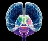 Department of Neurology Strategic Plan - Neurology | UCLA Health