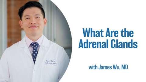 Adrenal Conditions Treated at UCLA - Endocrine Surgery | UCLA Health