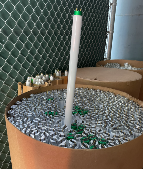 Light Bulb Recycling - Sustainability | UCLA Health