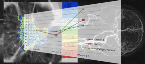 Research Programs - Radiology | UCLA Health