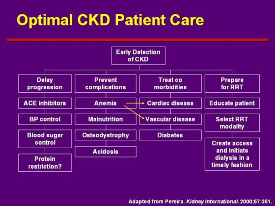 What is Alport syndrome? - CORE Kidney | UCLA Health