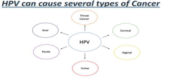 What is HPV? - Head & Neck Surgery | UCLA Health