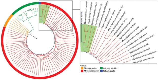 Molecular Microbiology and Pathogen Genomics (MMPG) Laboratory ...