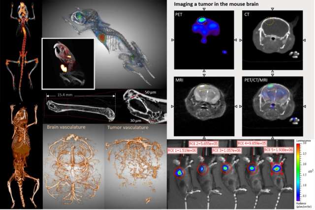 Small Animal Imaging | UCLA Health Jonsson Comprehensive Cancer Center