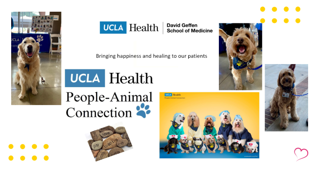 Education - Women’s Cardiovascular Services | UCLA Health